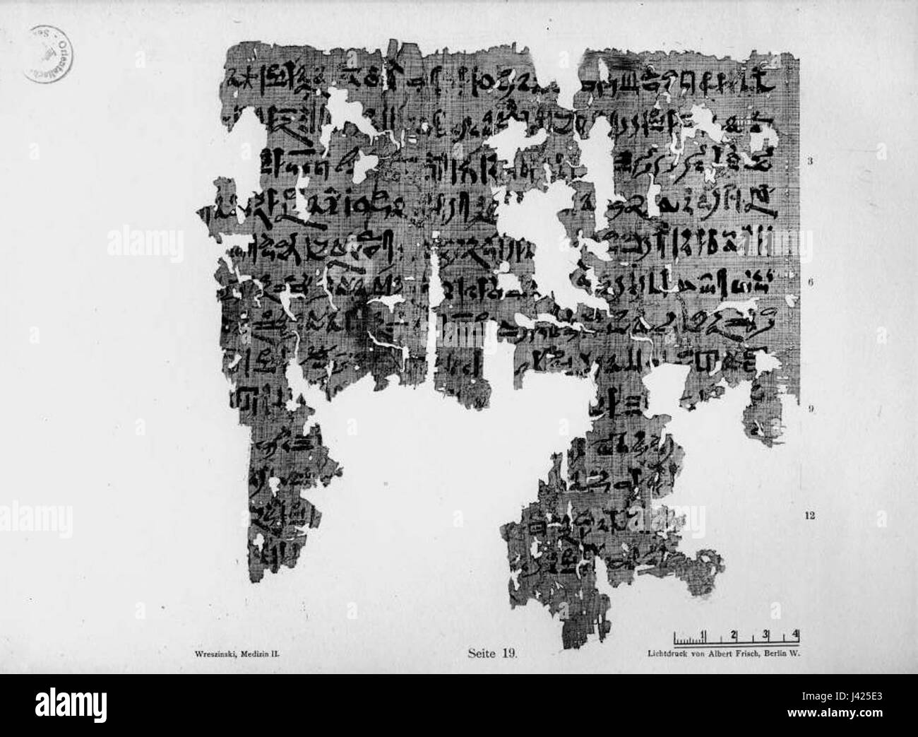 London medical papyrus hi-res stock photography and images - Alamy