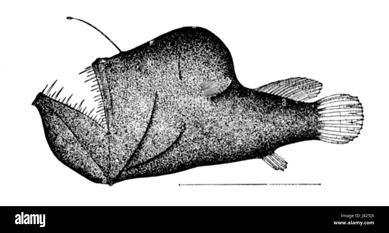 Deep black Black and White Stock Photos & Images - Alamy