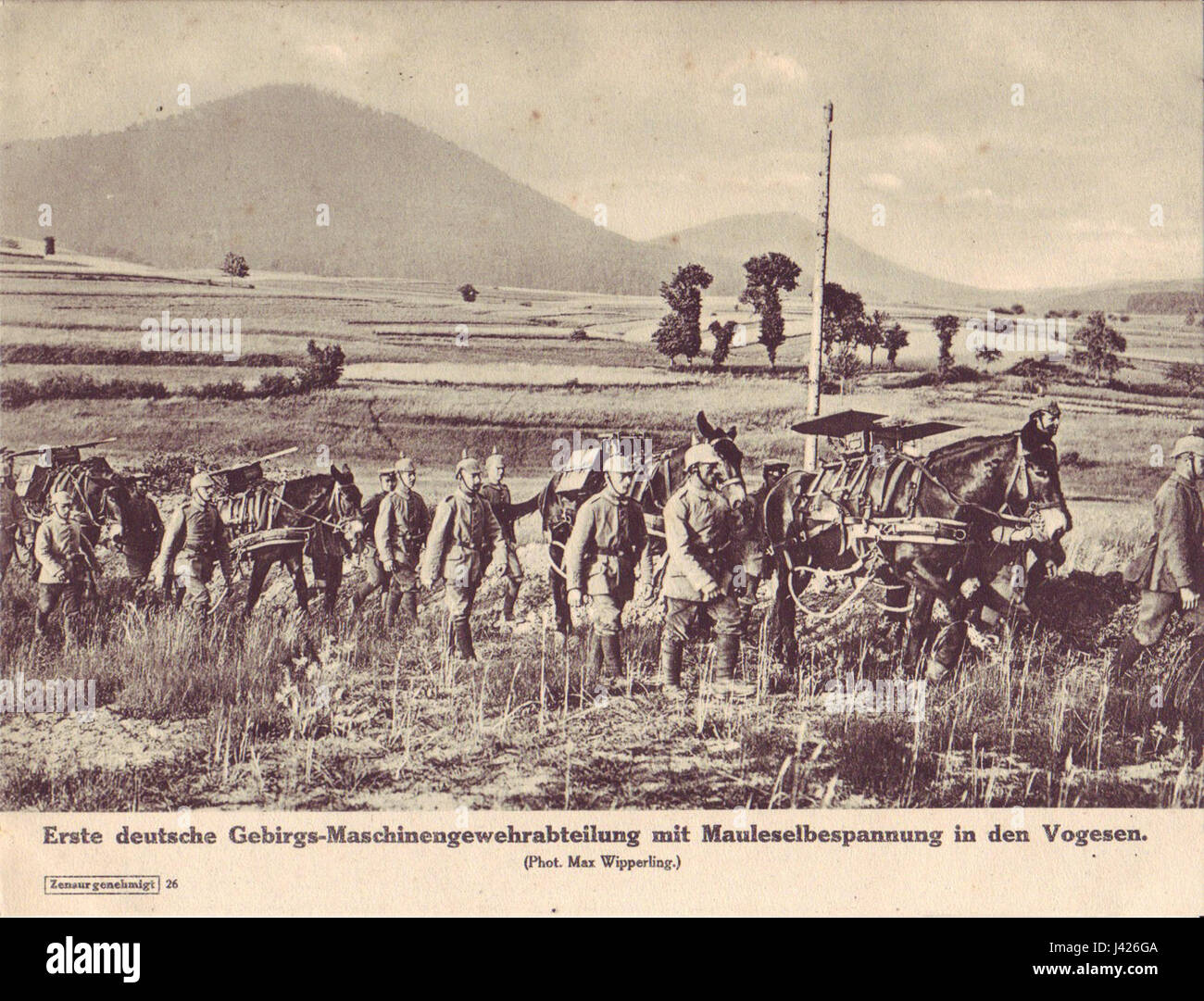 Maschinengewehrabteilung refers to a German military term for machine ...