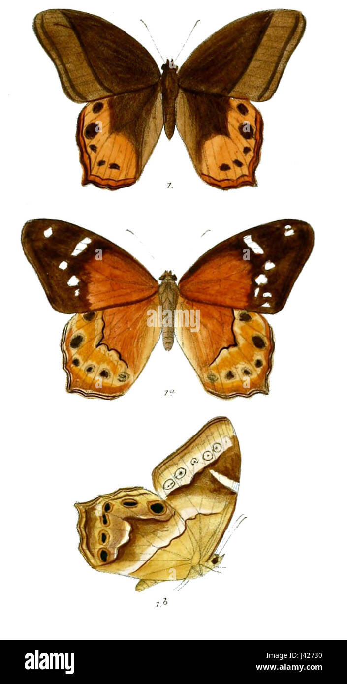 Lethe painting hi-res stock photography and images - Alamy