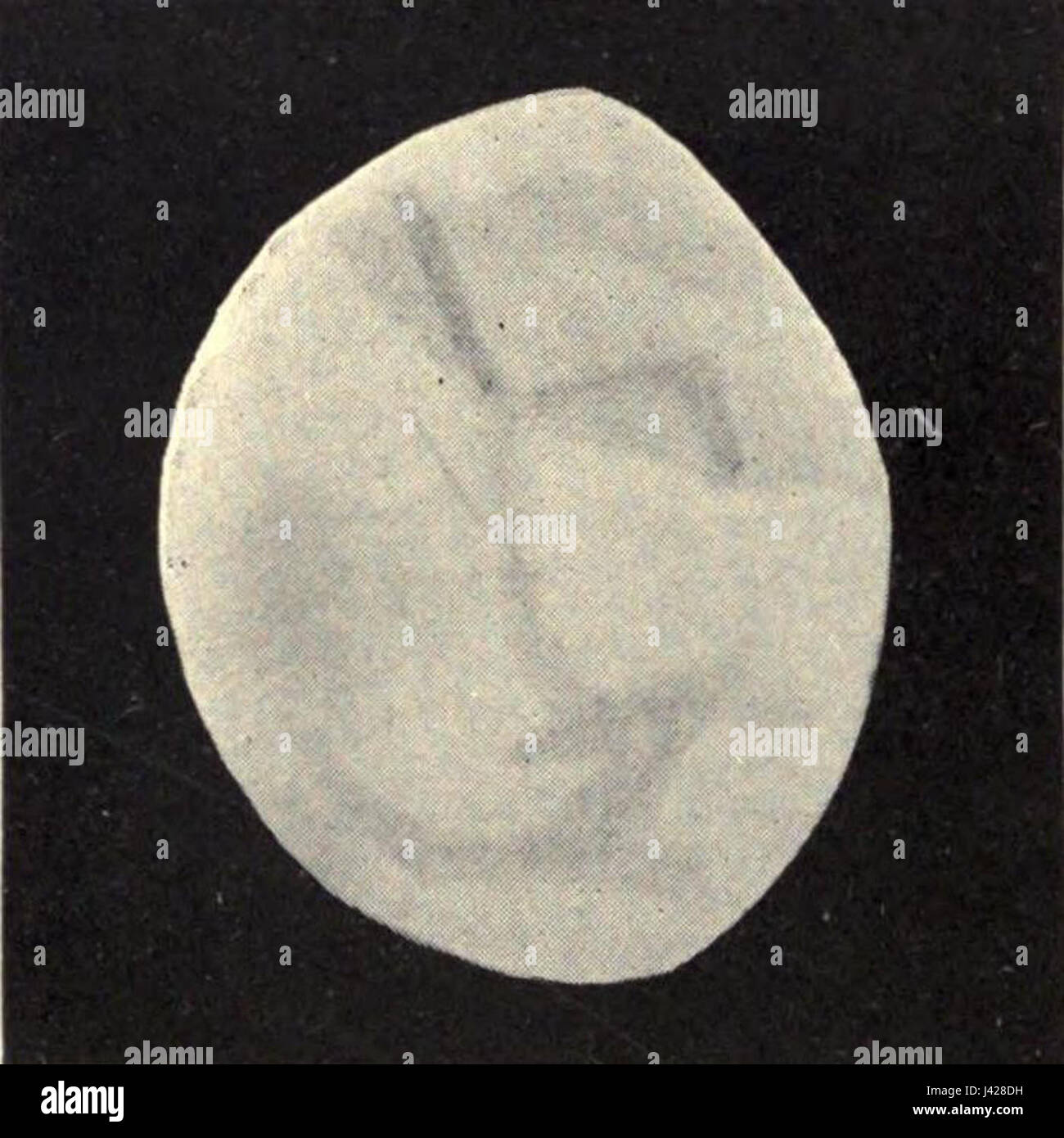This image from the 1896 Lowell Mars series features Plate 22, Figure 5 ...