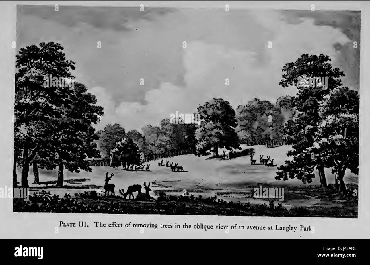 Designed by humphry repton hi-res stock photography and images - Alamy