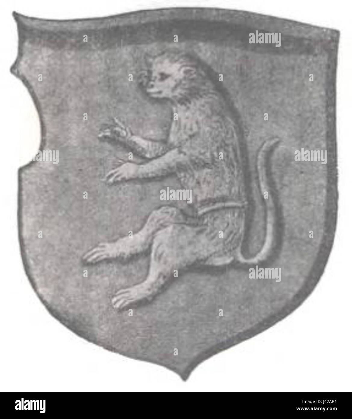 Kot morski stemmata Stock Photo - Alamy