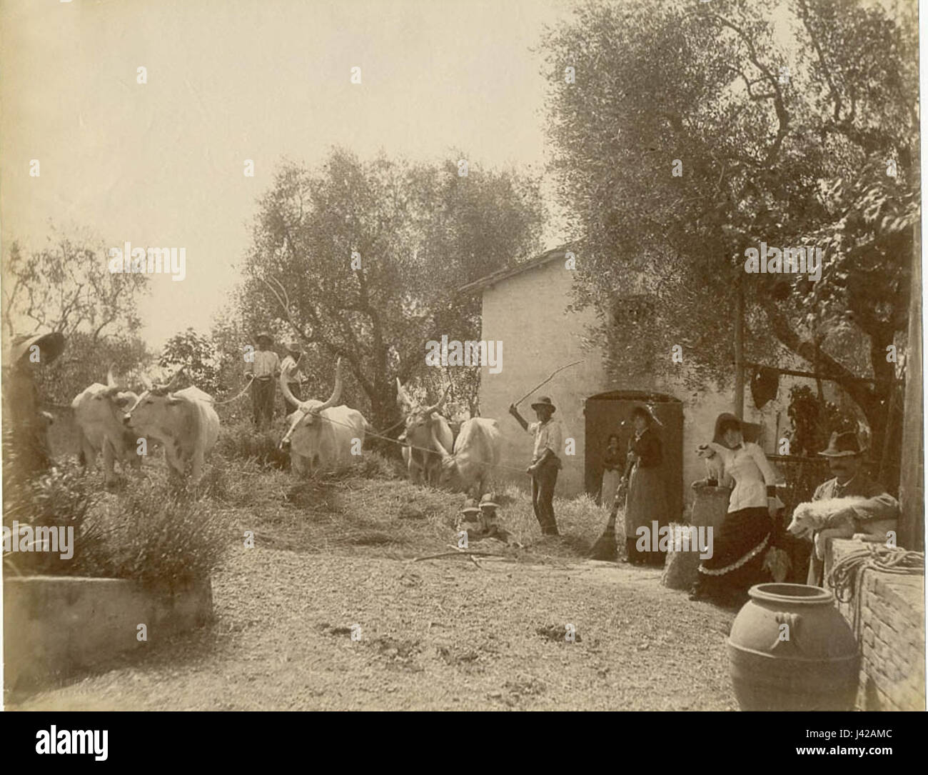 Lombardi, Paolo (1827 1890) Contadini che trebbiano Stock Photo - Alamy