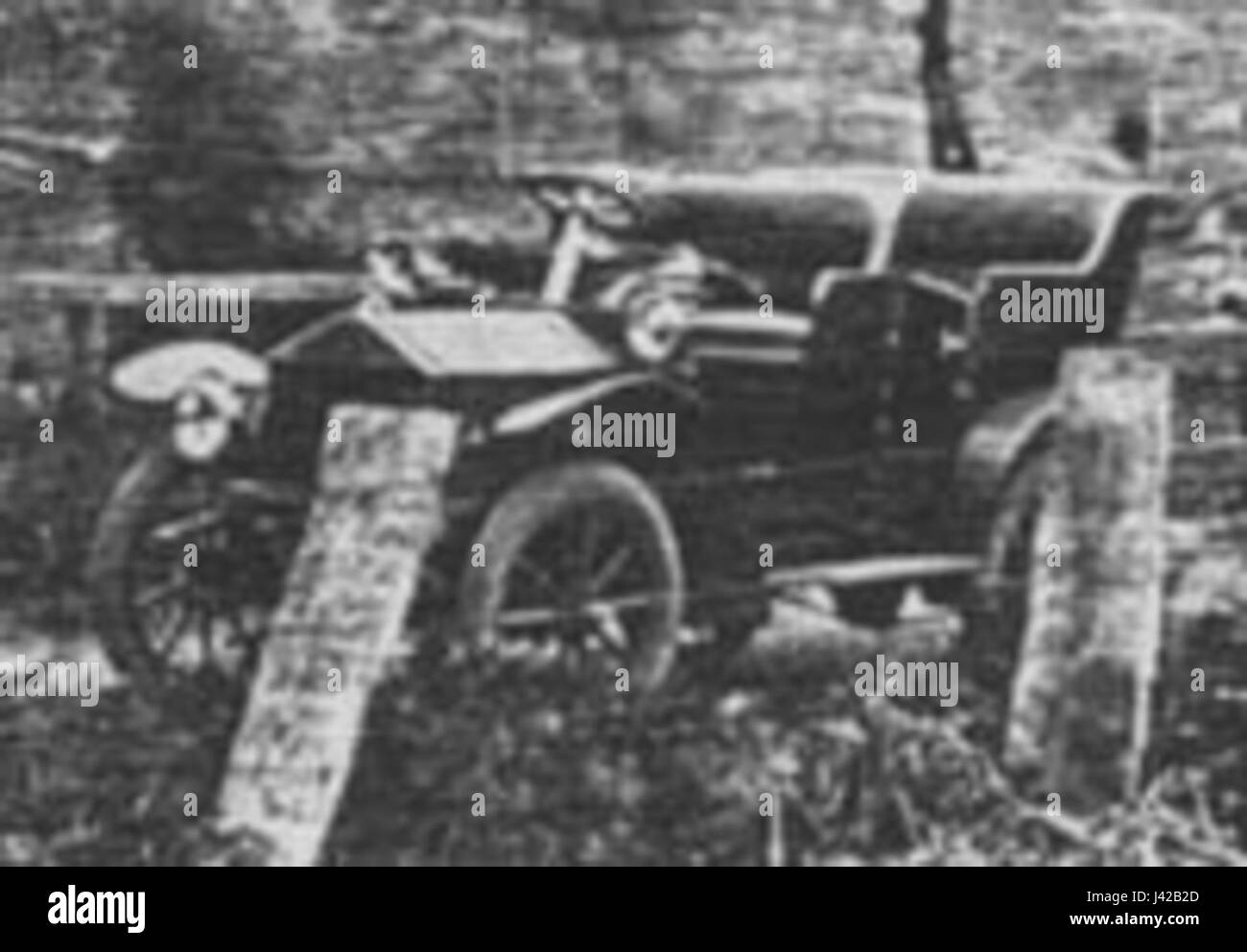 Lewis Aster was an influential figure during the early 20th century ...