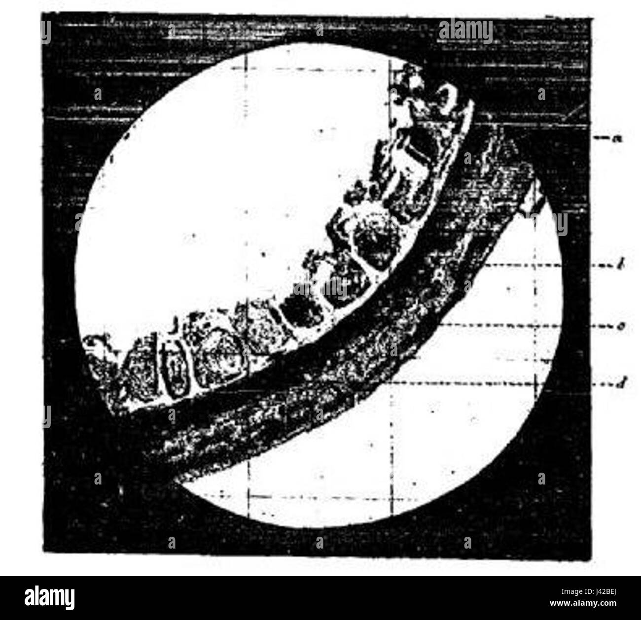 Panification hi-res stock photography and images - Alamy