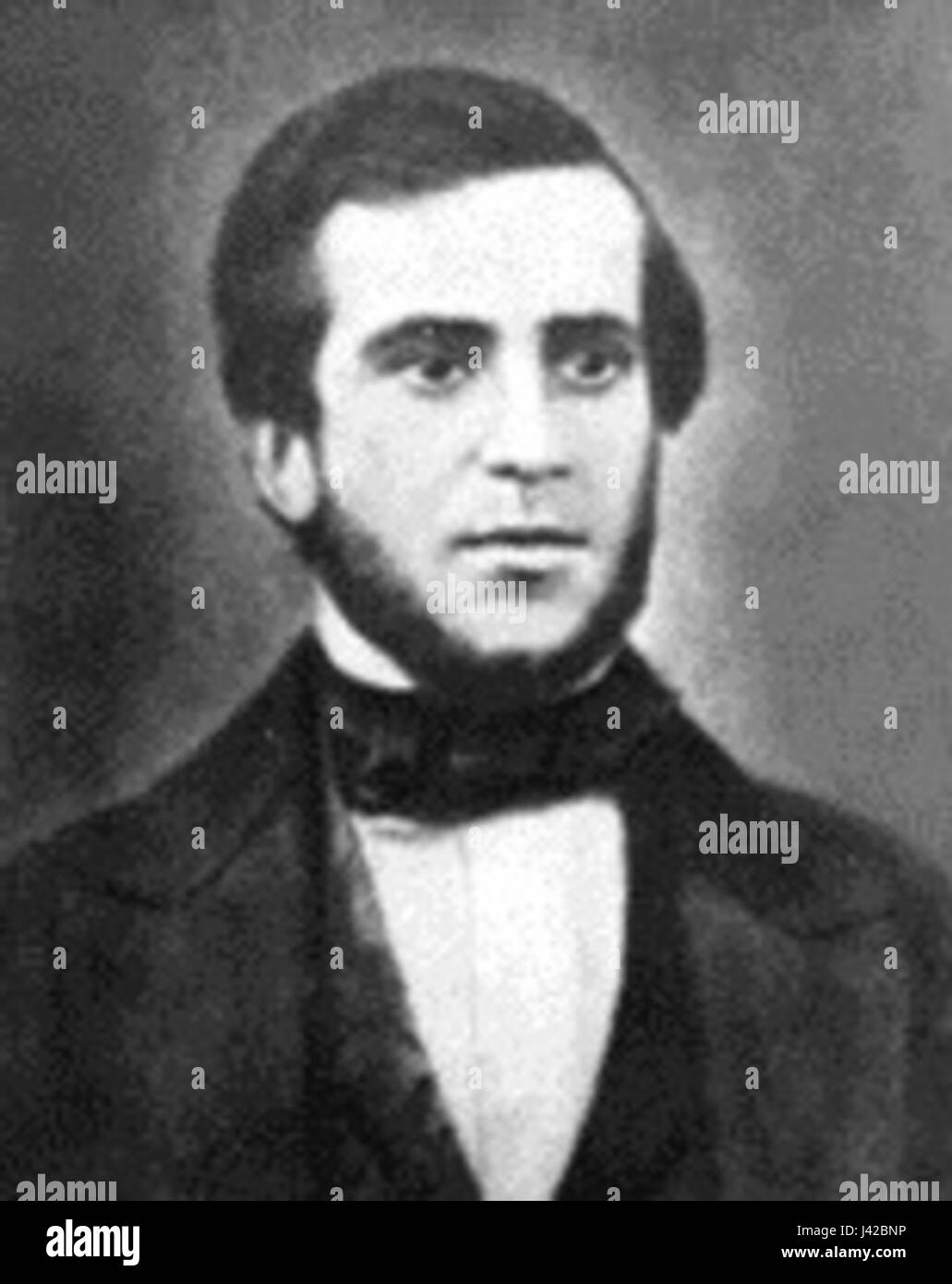 Martins pena hi-res stock photography and images - Alamy