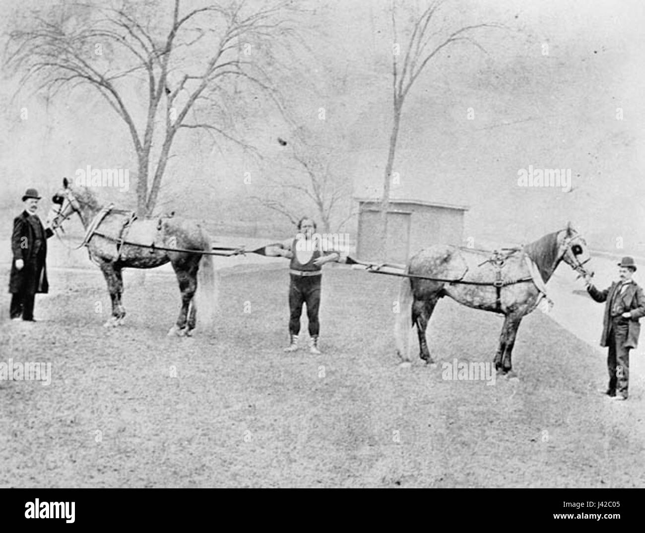 Louis Cyr was a renowned Canadian strongman, celebrated for his ...