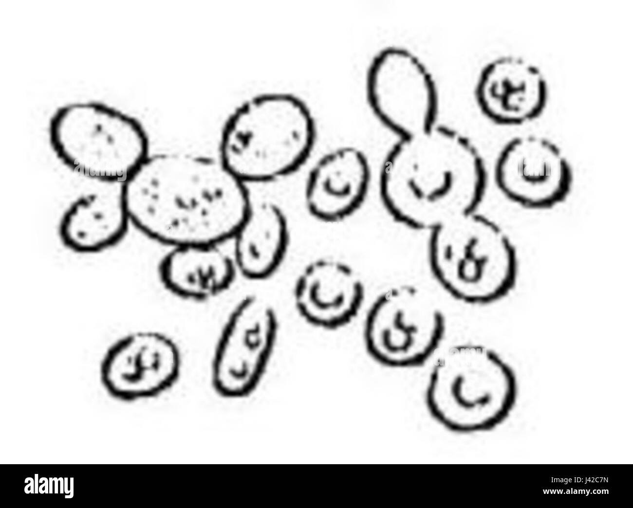 'Le pain et la panification' (Bread and Baking) is an illustration ...