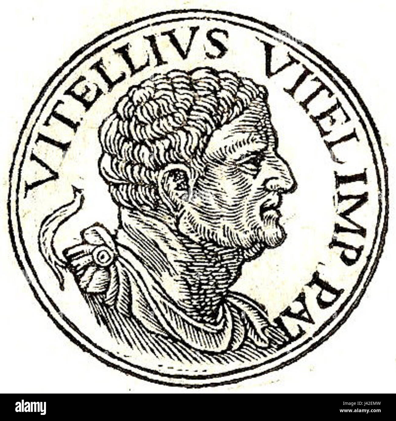 Lucius Vitellius major Stock Photo - Alamy
