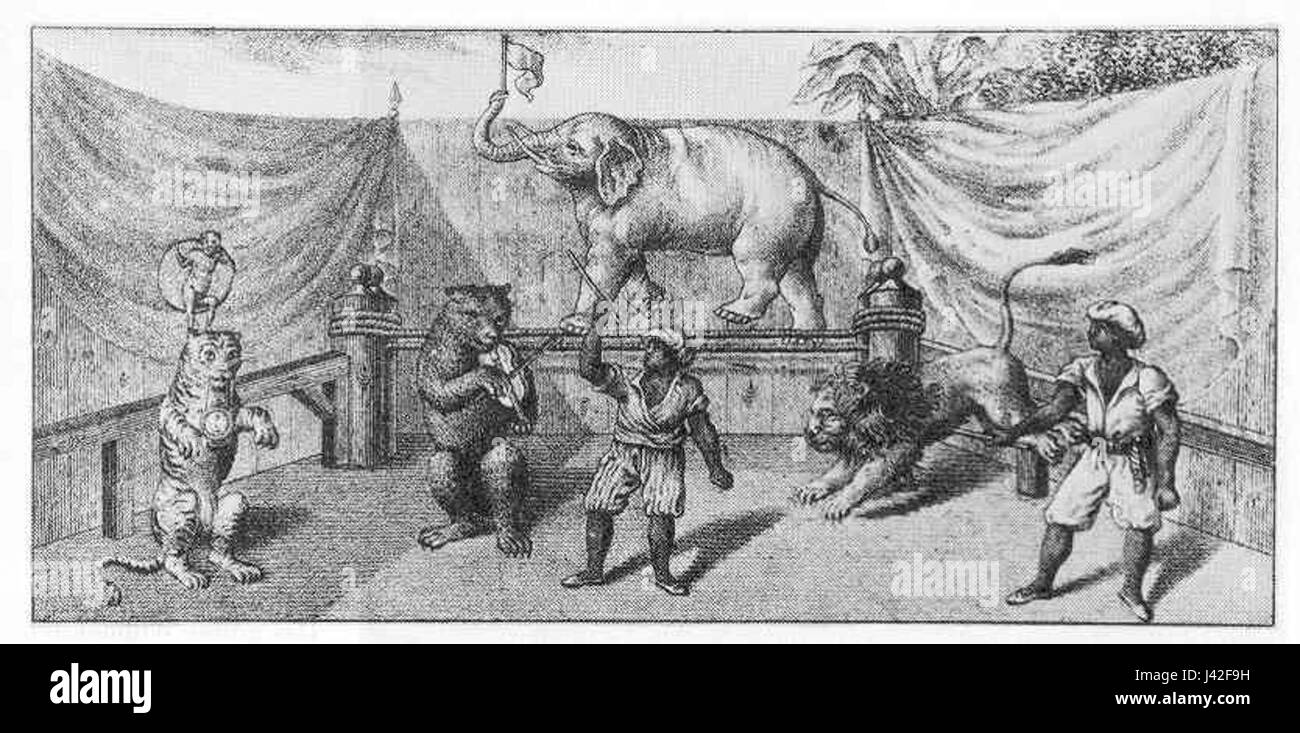 A 'Menagerie' refers to a collection of animals, often displayed in a ...