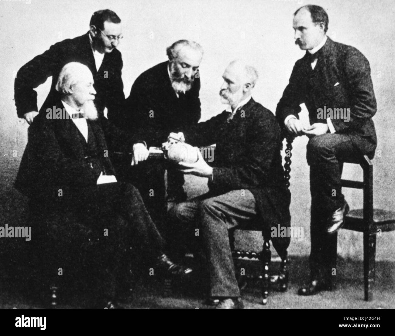 Macewen's Triangle demonstration Stock Photo - Alamy