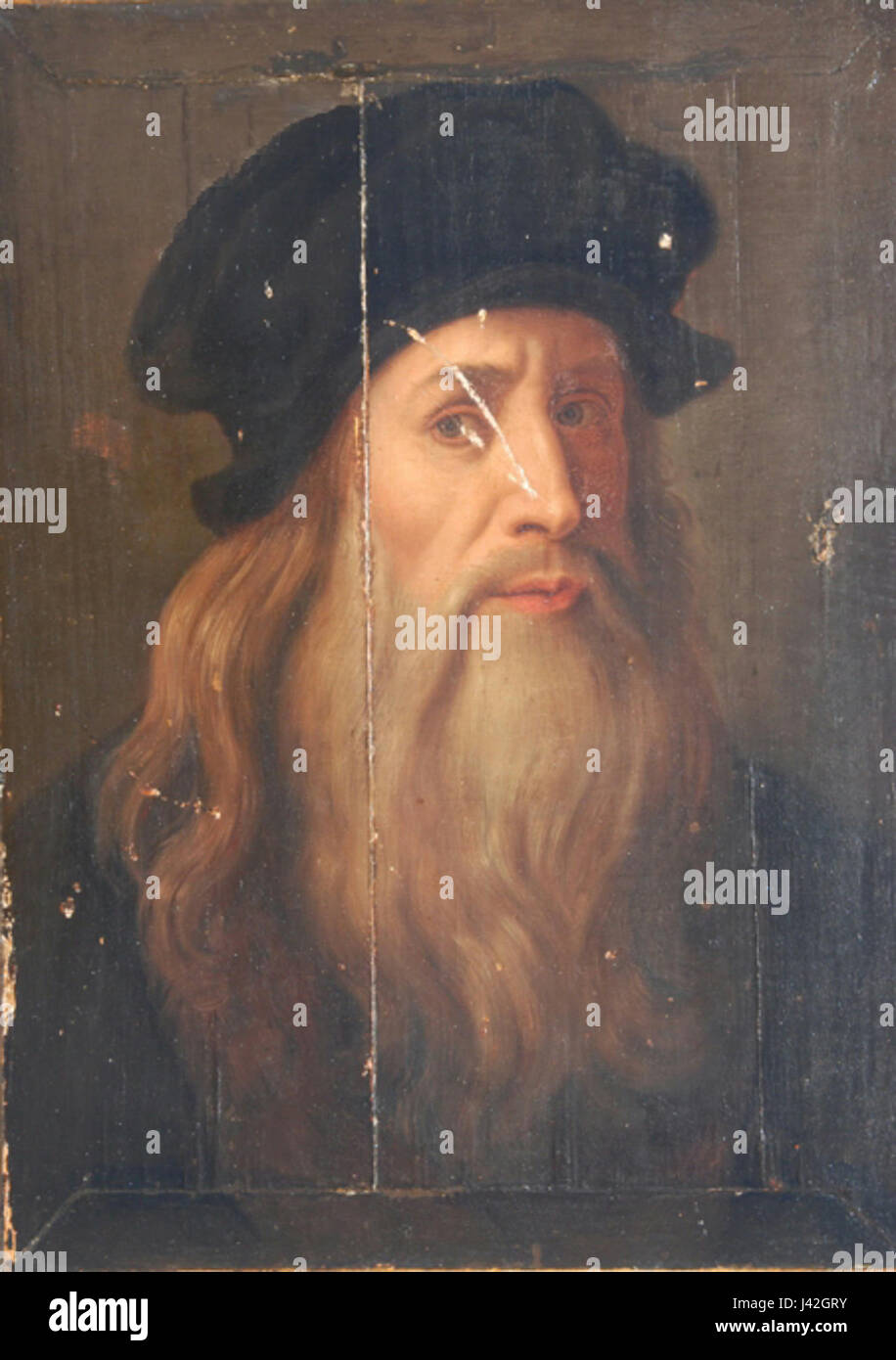 Leonardo da Vinci LUCAN self portrait PORTRAIT Stock Photo - Alamy
