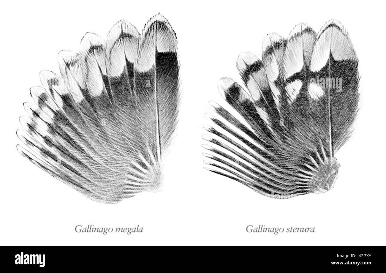 Megala hi-res stock photography and images - Alamy