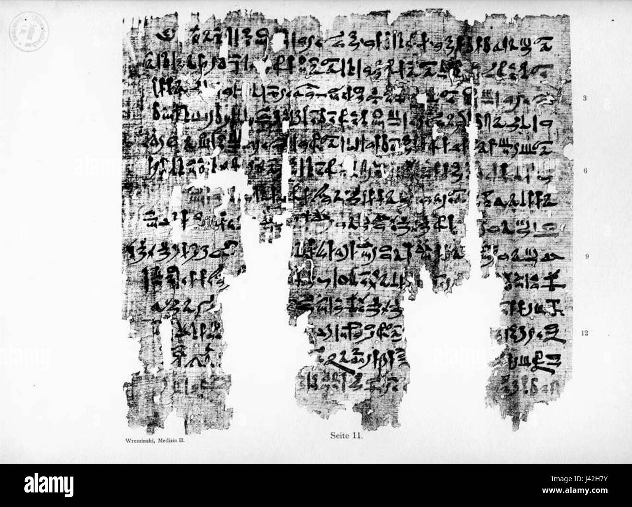 This is an image of the London Medical Papyrus, an ancient Egyptian ...