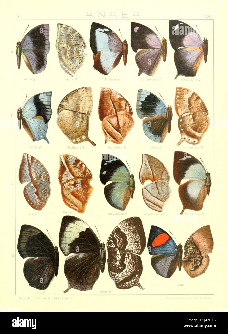 0265 hi-res stock photography and images - Alamy