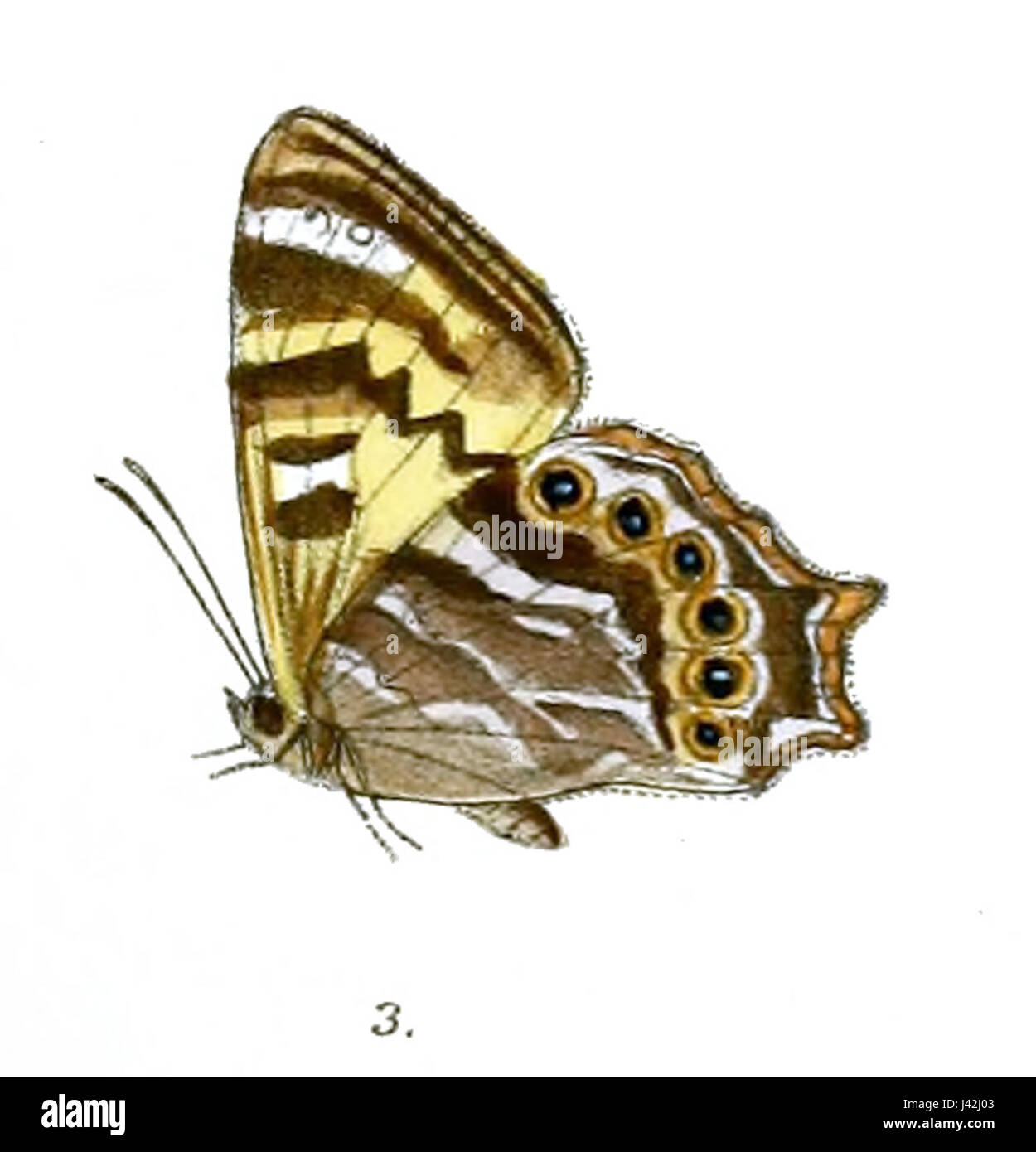 Lethe painting hi-res stock photography and images - Alamy