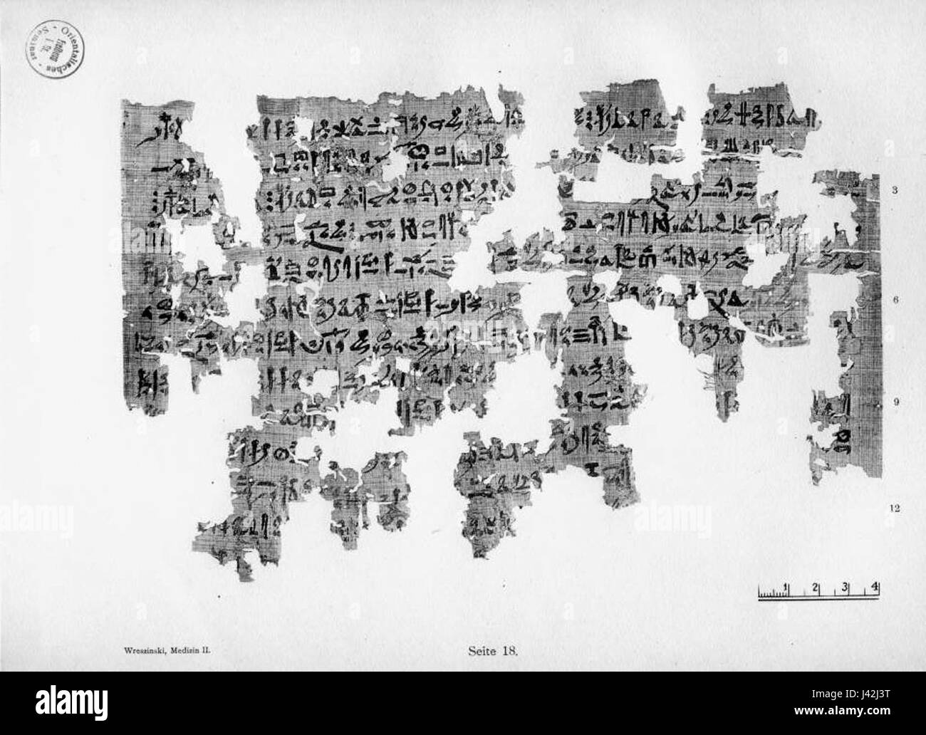 Medical papyrus egypt hi-res stock photography and images - Alamy