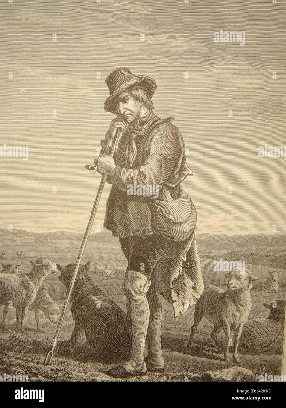 Le berger hi-res stock photography and images - Alamy