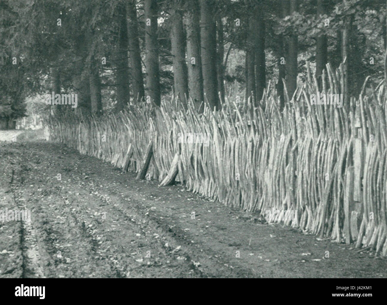 Linde drawing hi-res stock photography and images - Alamy