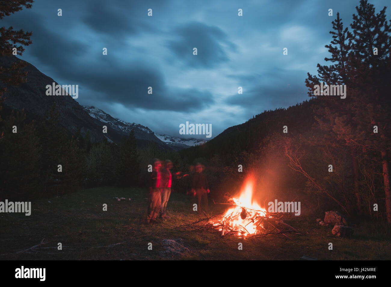 Burning camp fire into remote larch and pine tree woodland with high ...