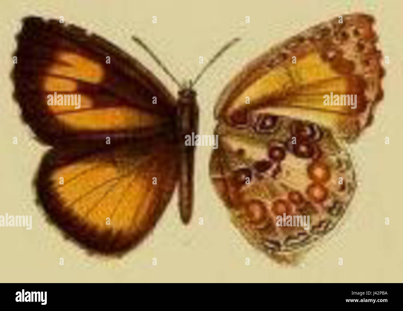 Luna map hi-res stock photography and images - Alamy