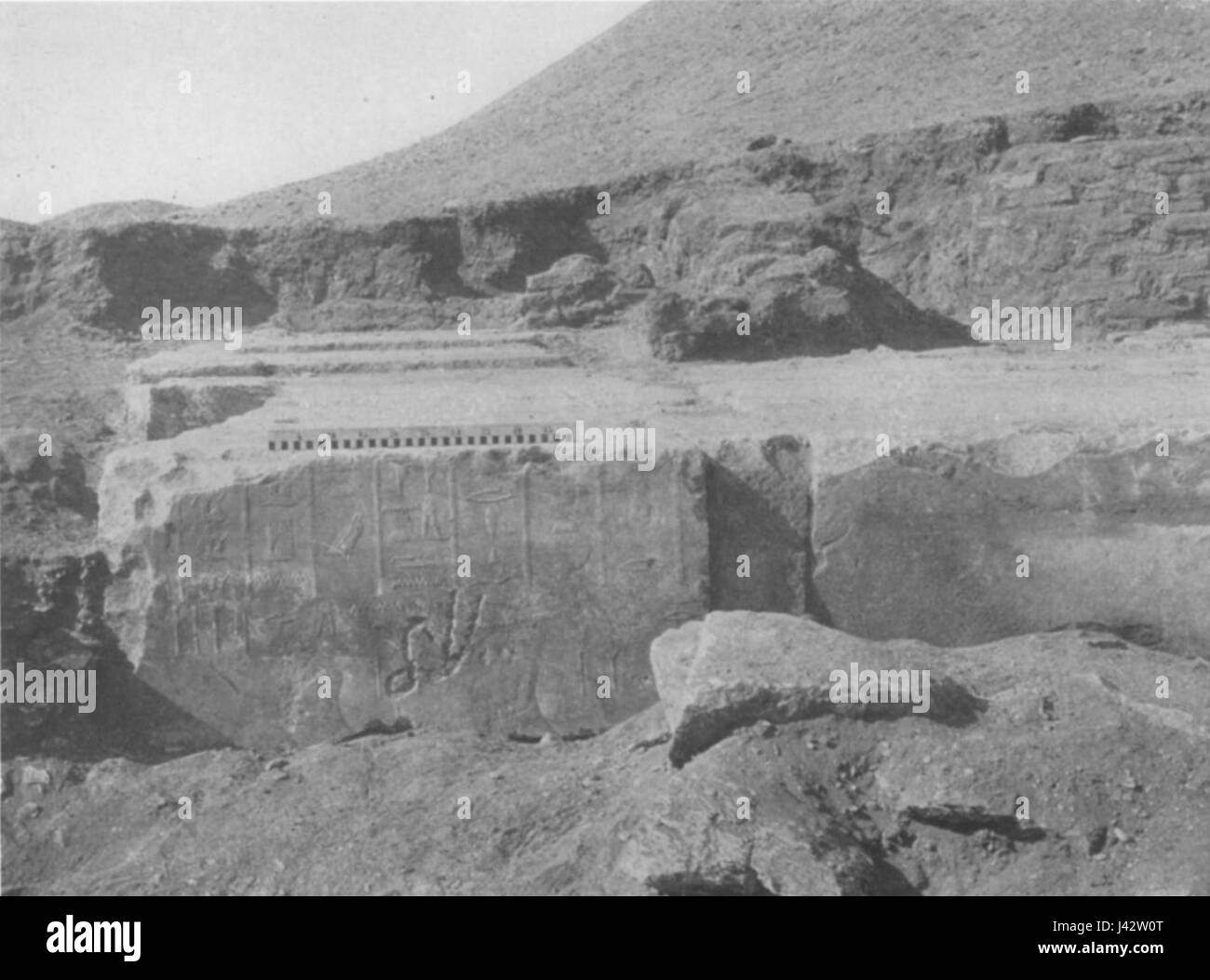 Mace Lisht BMMA 9 10 16 Stock Photo - Alamy