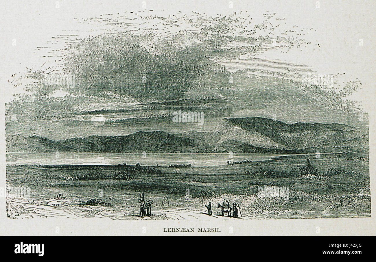 A description of 'Lernaean Marsh,' an artwork by Christopher Wordsworth ...