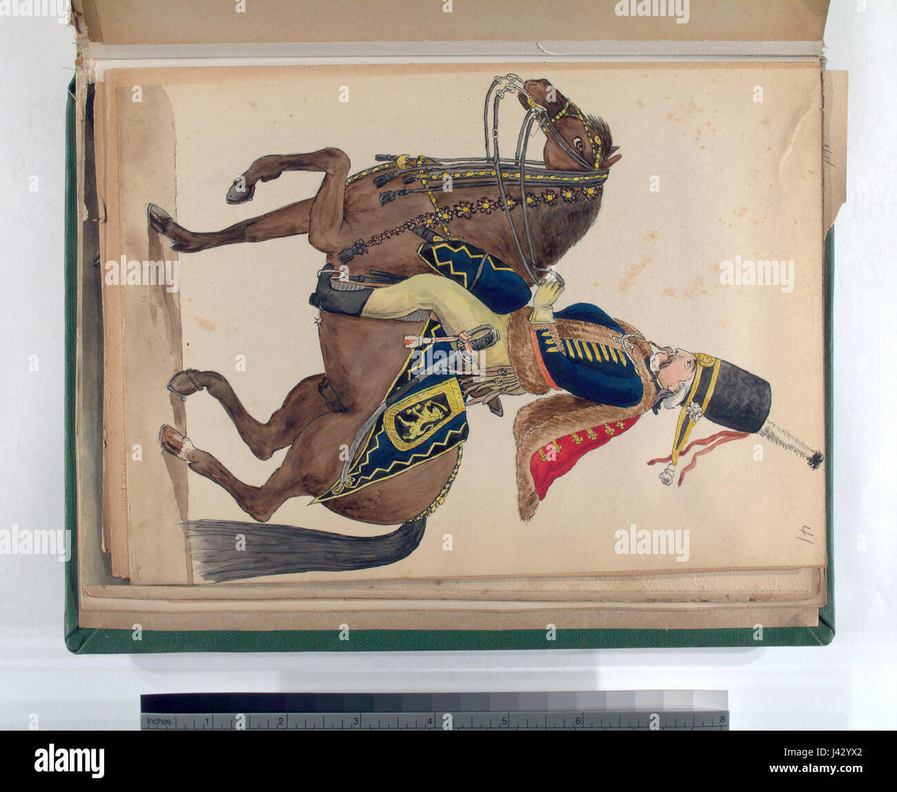 Man riding horse 1800s hi-res stock photography and images - Alamy