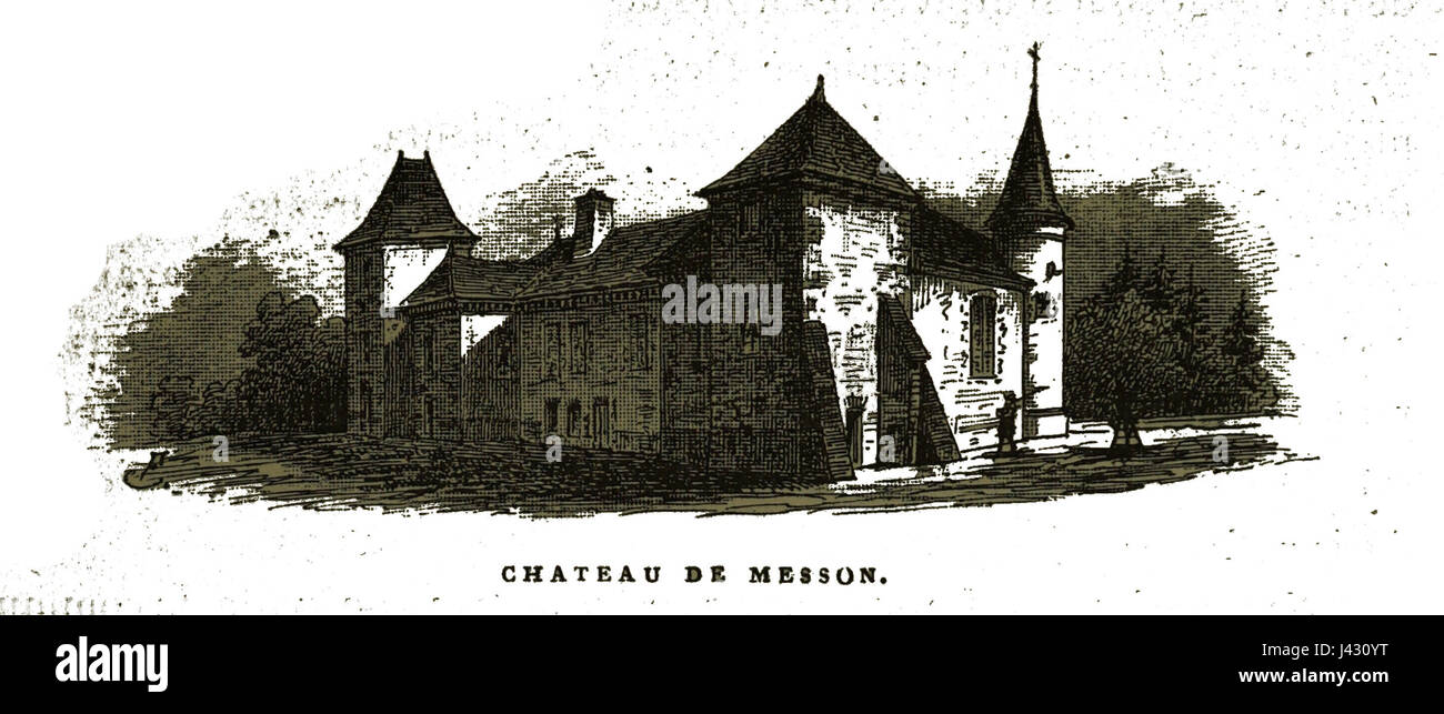 The Messon Chateau, located in France, is a historical building known ...