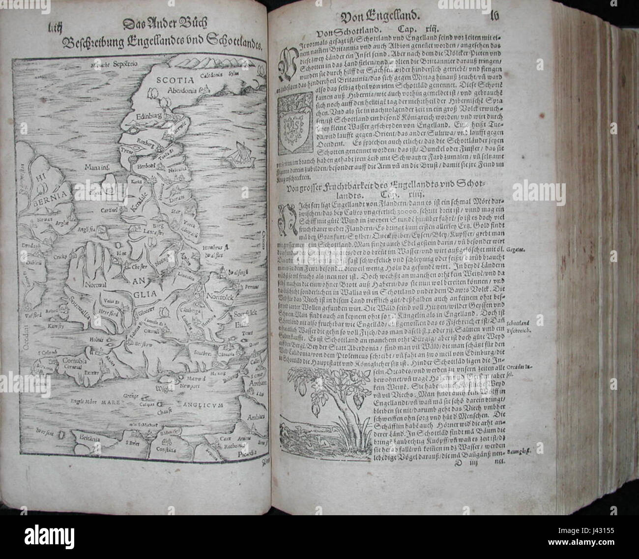 British isles map illustration hi-res stock photography and images - Alamy