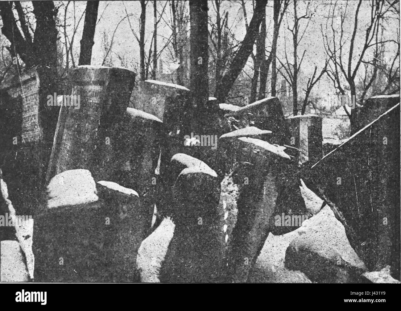 Map of lwow hi-res stock photography and images - Alamy