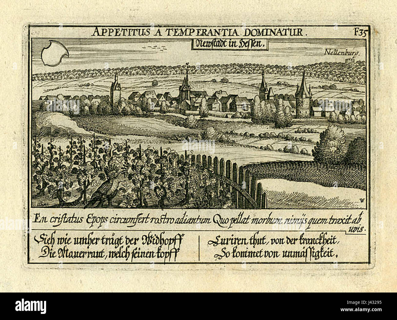 This title references a concept from the 18th-century text by Meisner ...