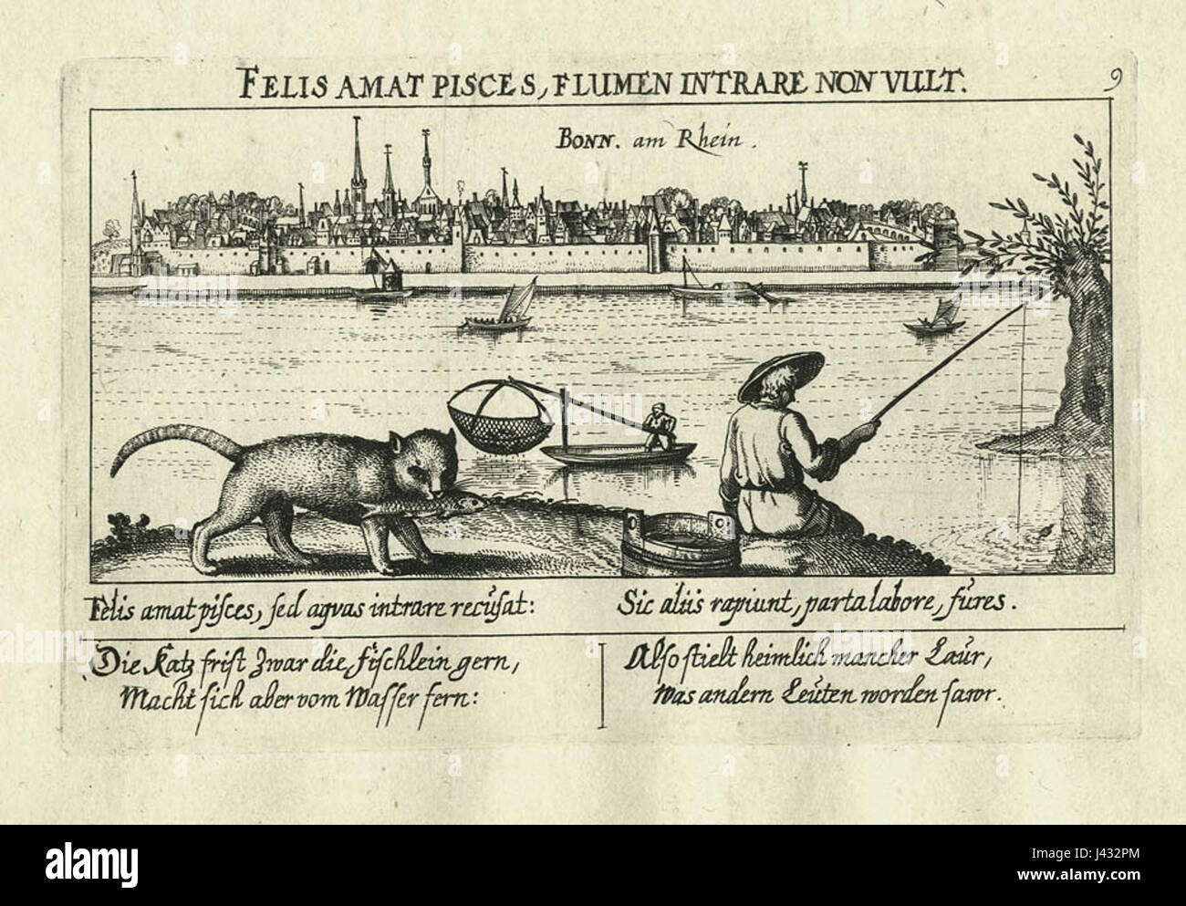 This artwork by Meisner portrays the famous Latin phrase *Felis amat ...