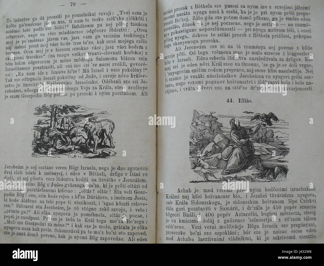 Buja hi-res stock photography and images - Alamy