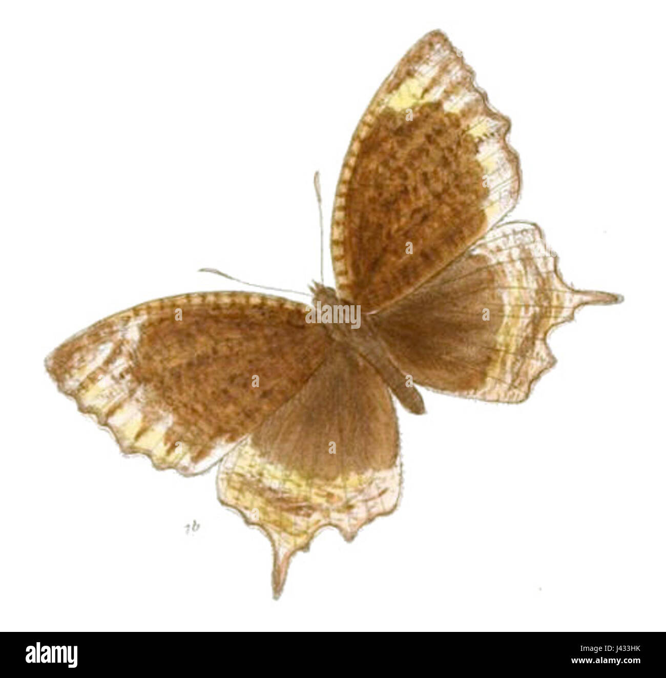 Expressive color composition Cut Out Stock Images & Pictures - Alamy