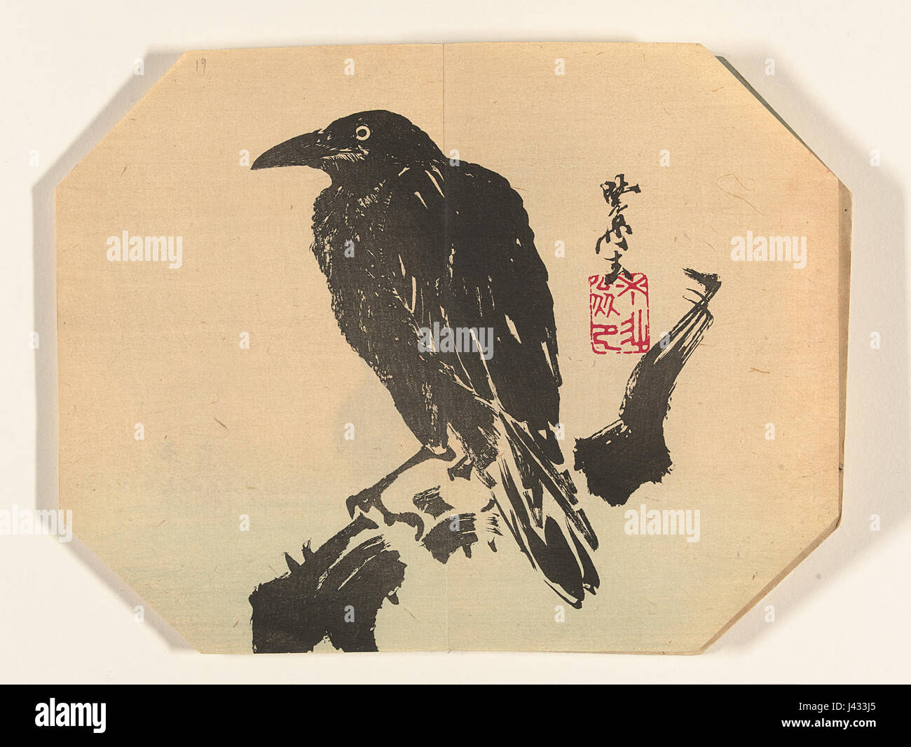Kraai hi-res stock photography and images - Alamy