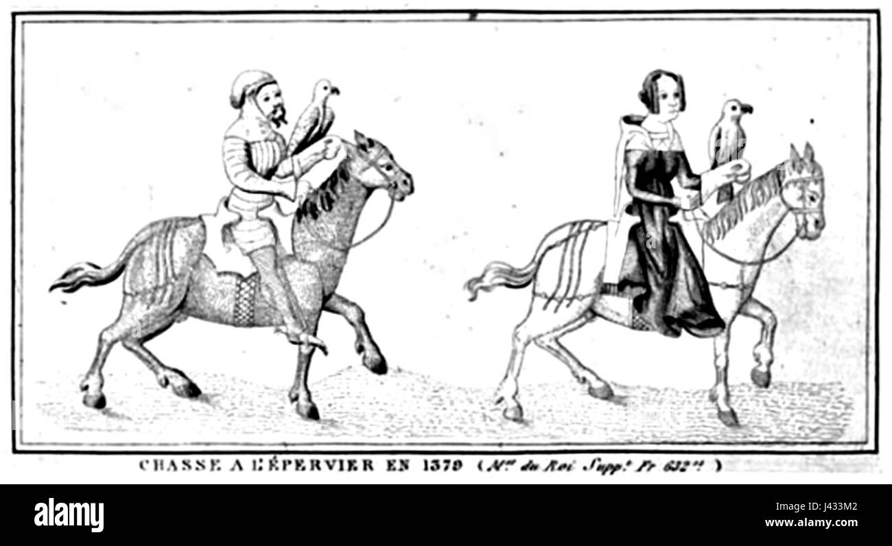 Training bird of prey Black and White Stock Photos & Images - Alamy