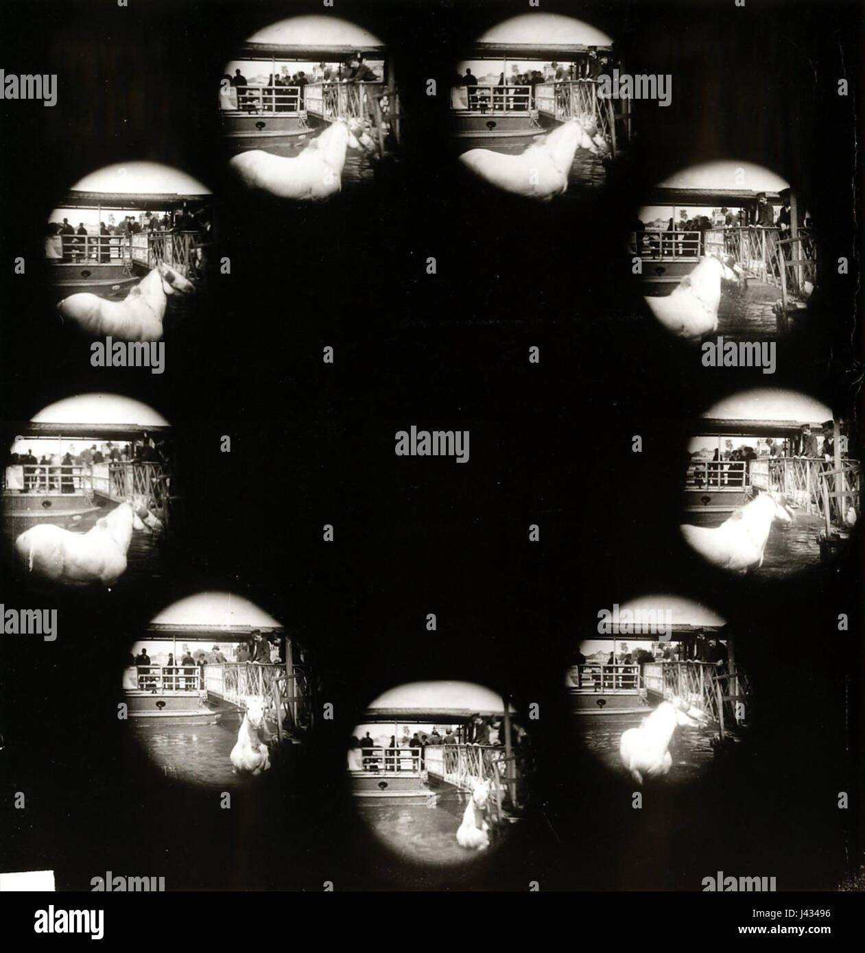 Chronophotography hi-res stock photography and images - Alamy