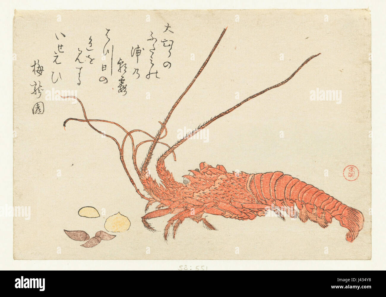 An artwork featuring a still life of a lobster with shells, held in the ...