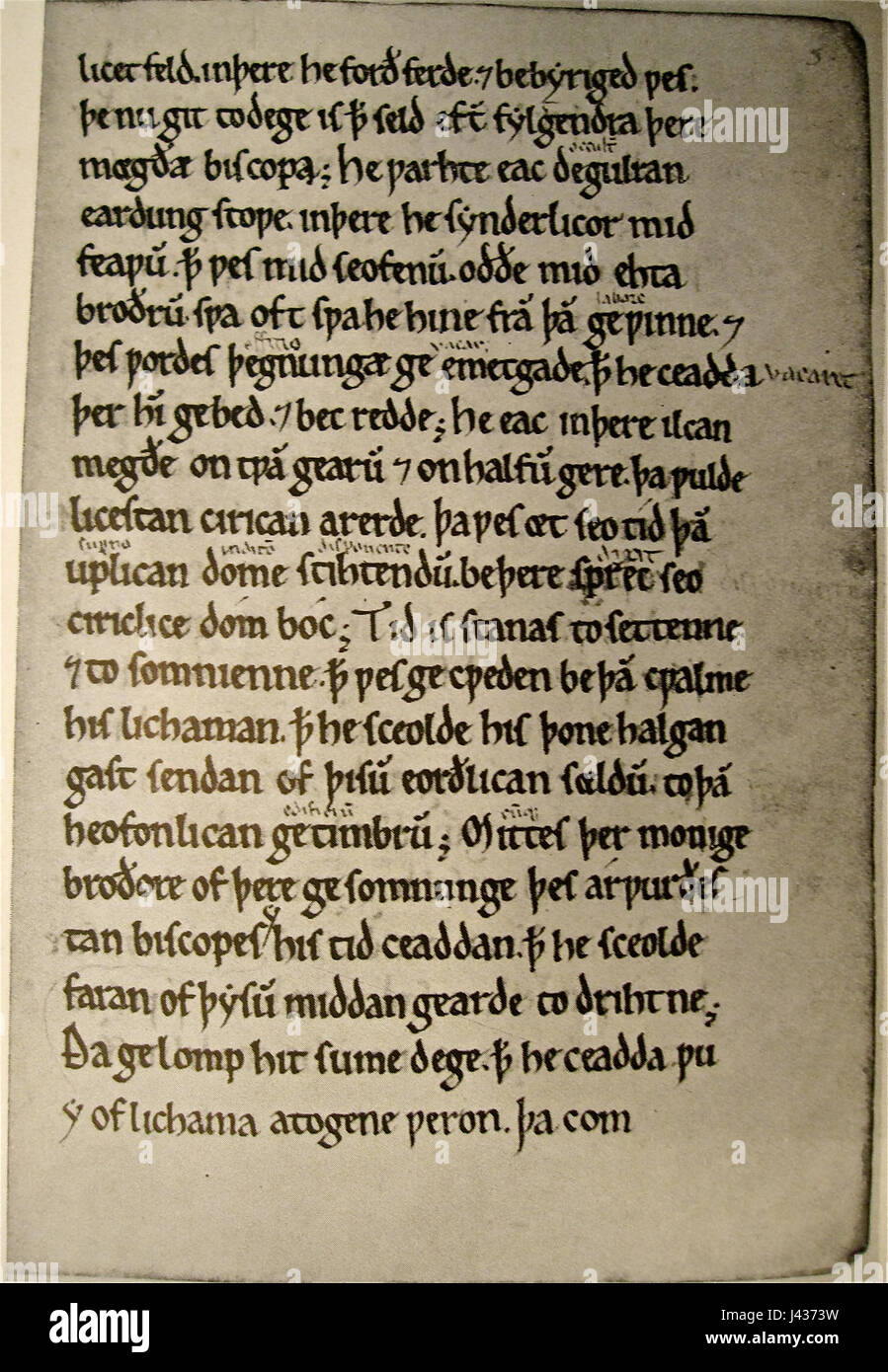 The Life of St. Chad details the biography of St. Chad, an influential ...