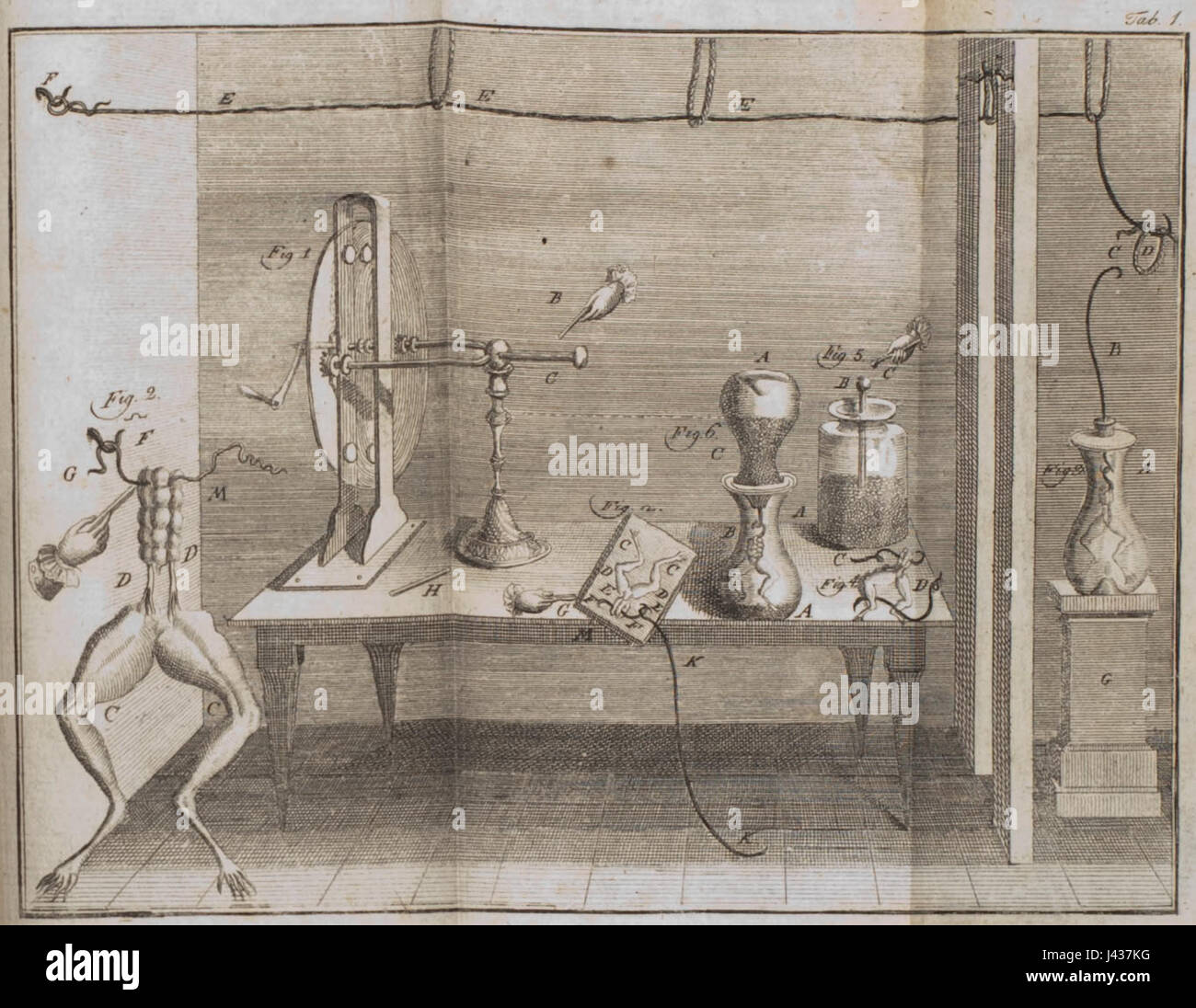 Luigi galvani experiment hi-res stock photography and images - Alamy