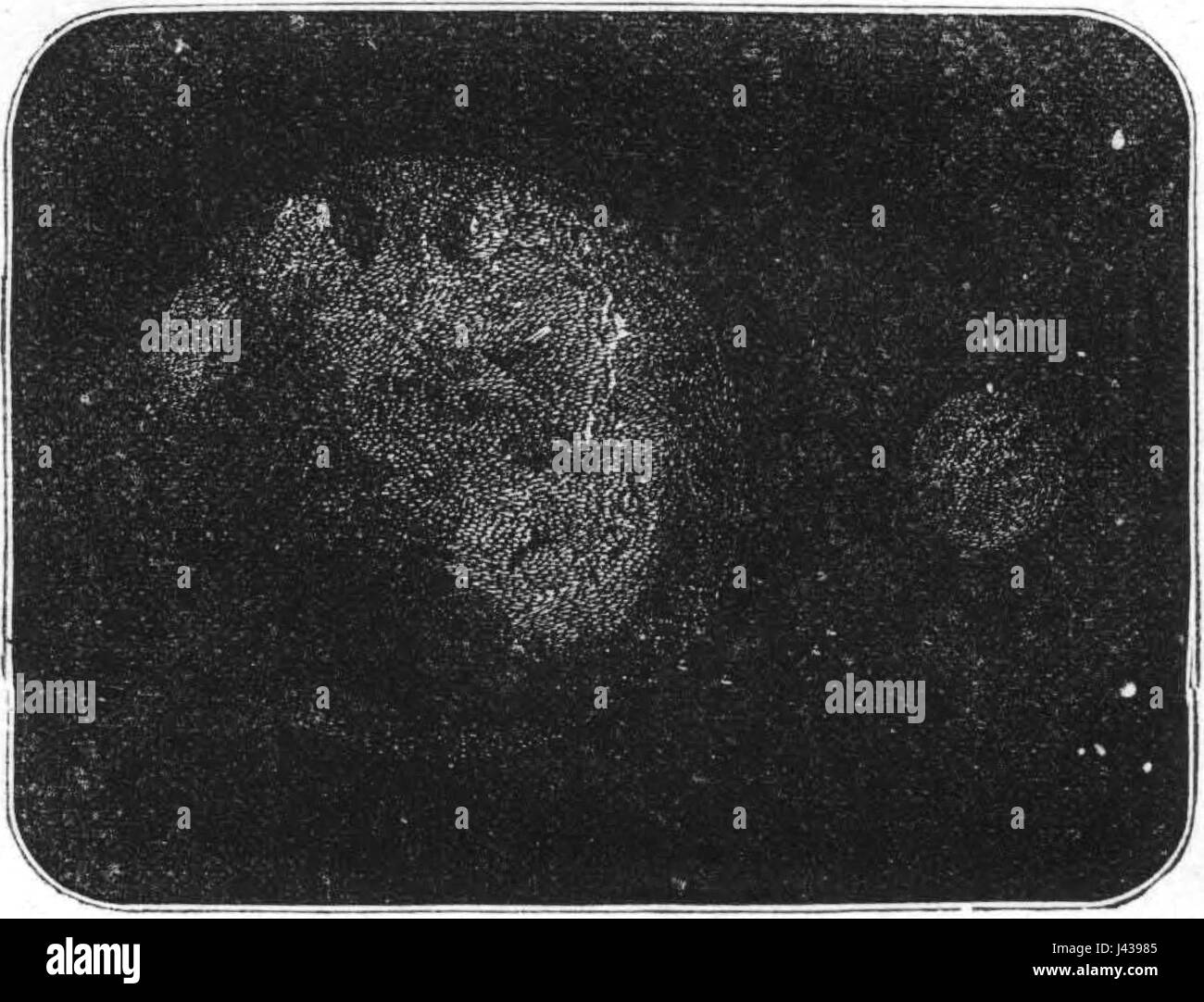 *Las Maravillas del Cielo* (The Wonders of the Sky) is a Spanish ...