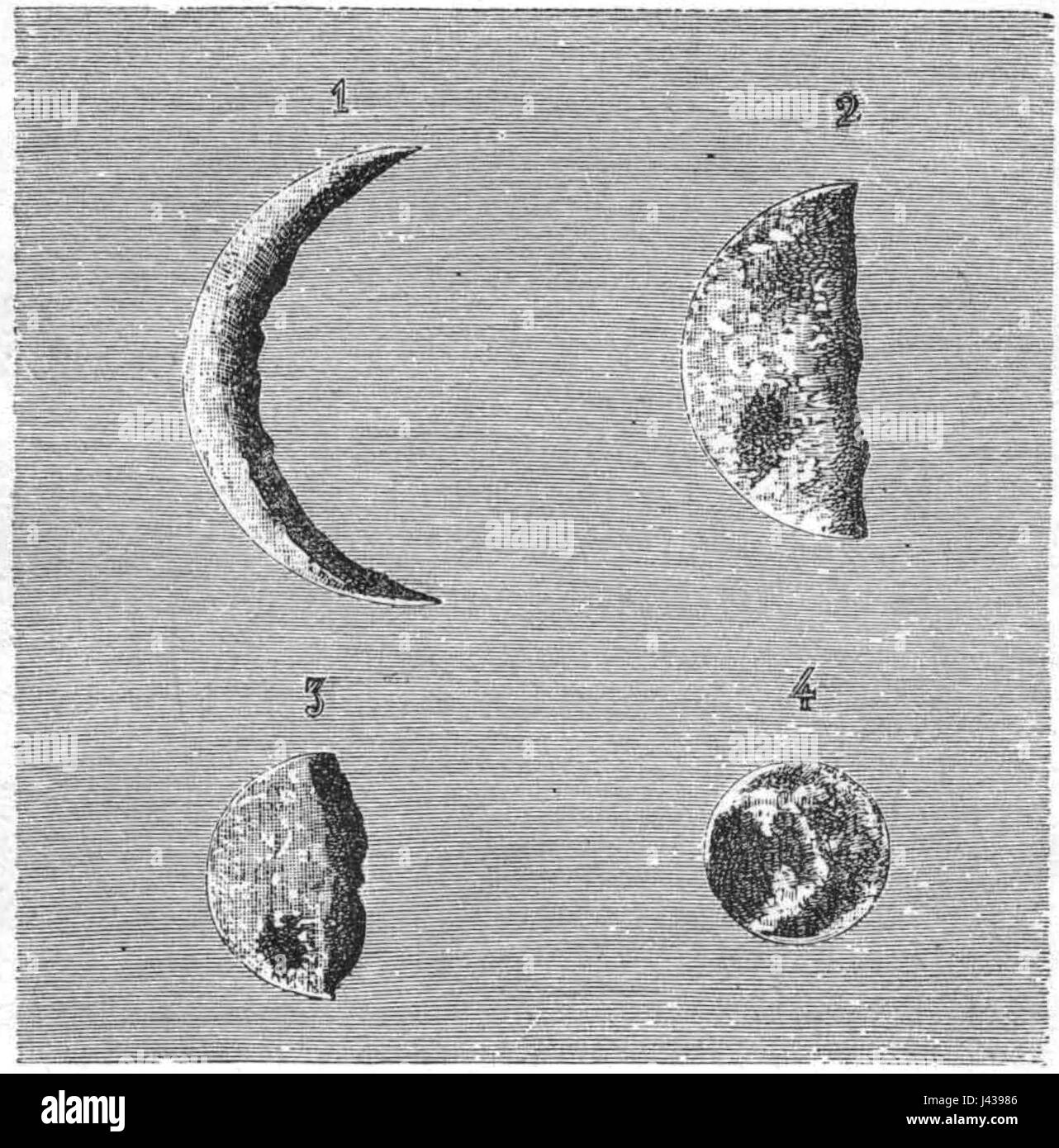 'Las Maravillas Del Cielo' (The Wonders of the Sky), a 17th-century ...