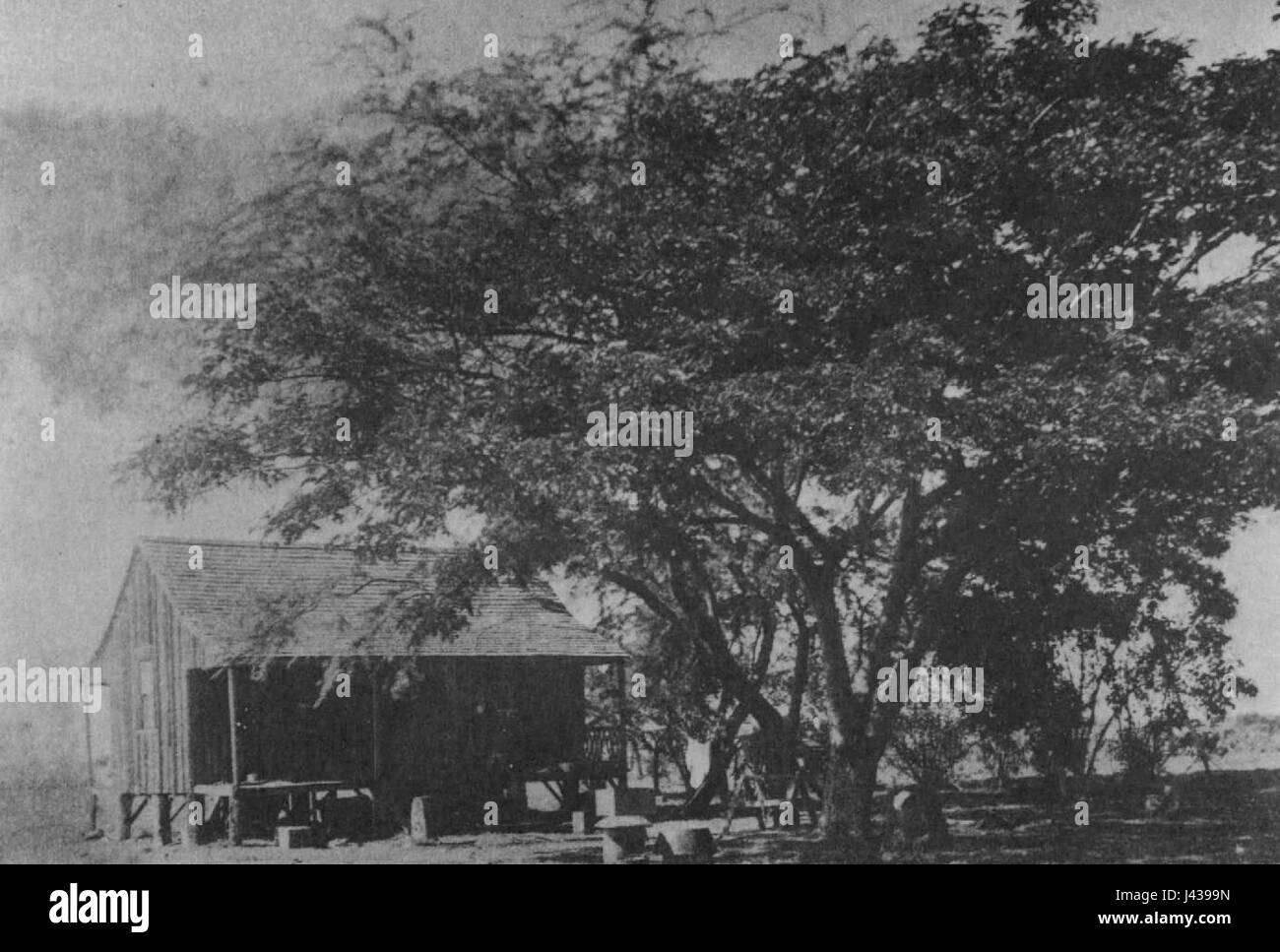Koolau family home at Kekaha, Kauai, 1893 Stock Photo - Alamy