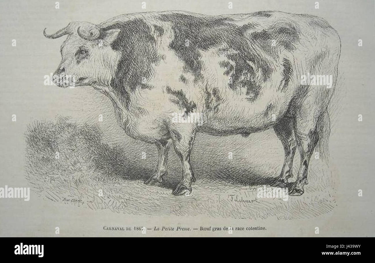 La Petite Presse was a French daily newspaper first published in 1863 ...