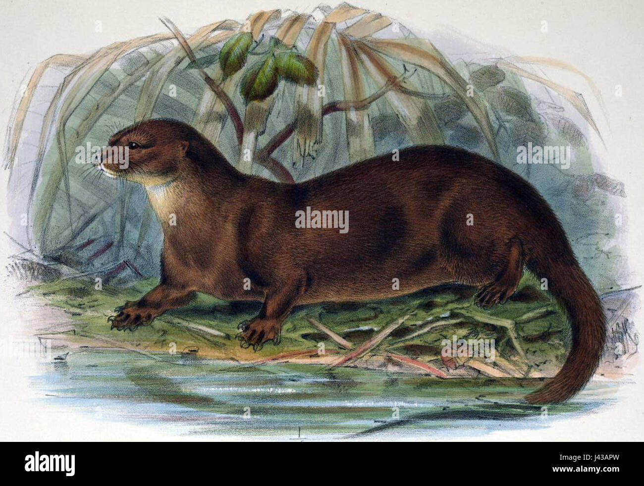 Yunnan province map hi-res stock photography and images - Alamy