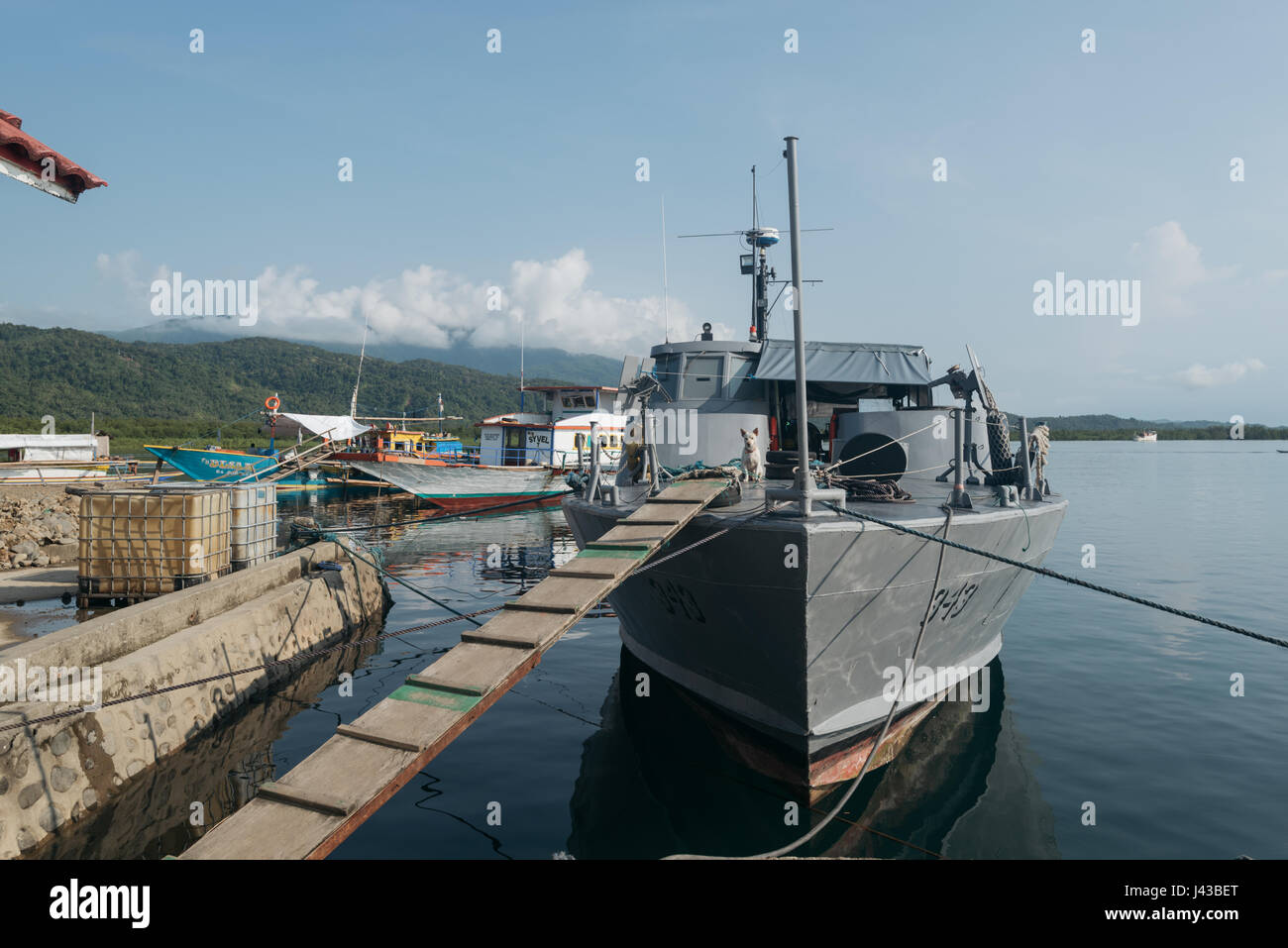 Polillo hi-res stock photography and images - Alamy