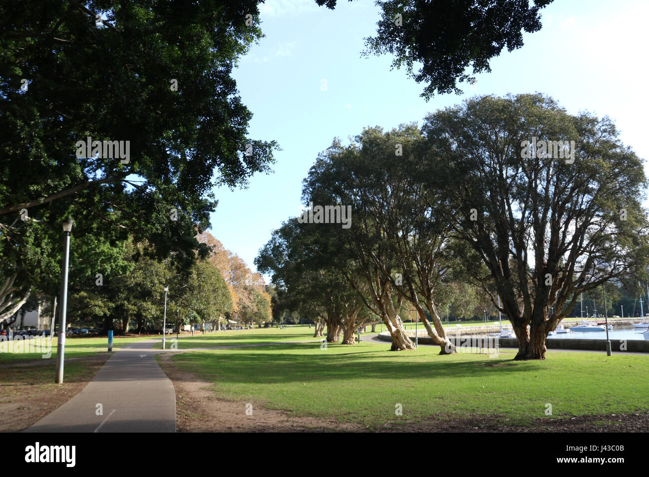 Rushcutters Bay Park, Sydney, Australia Stock Photo - Alamy