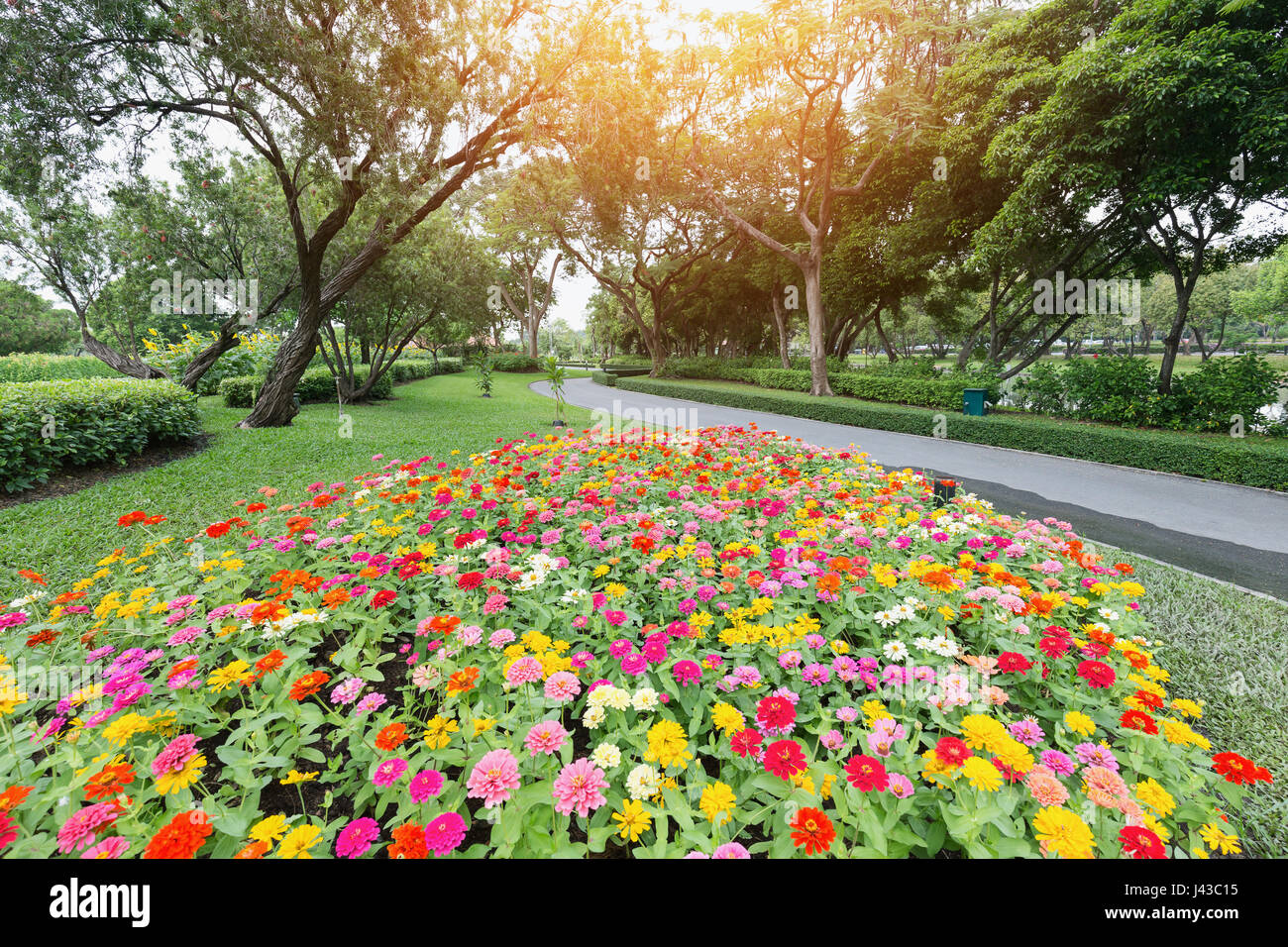 Colorful flower garden near running path inside green tree public park ...